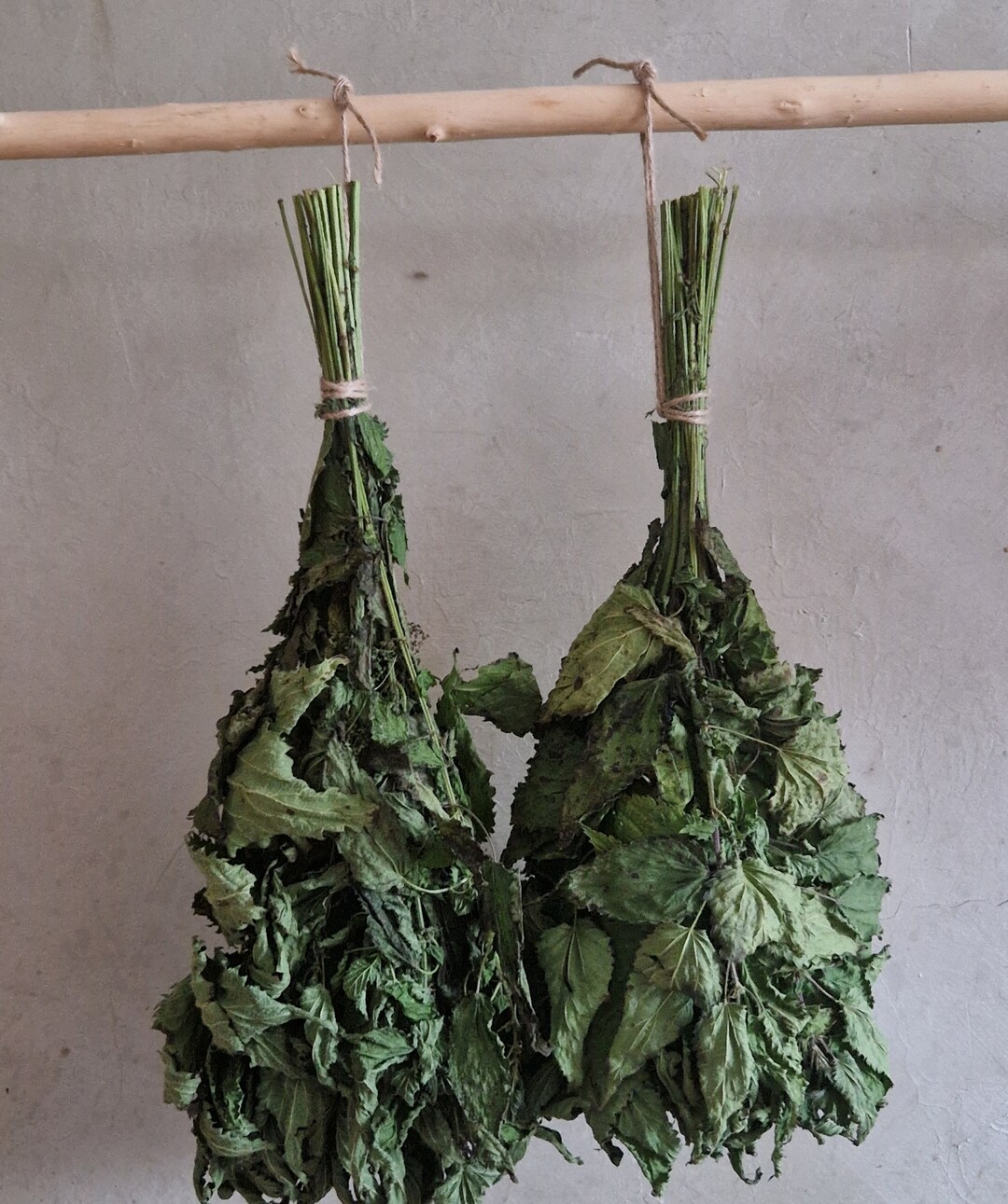Natural Nettles Broom Real Dry Nettles Bunch From Forest Natural ...