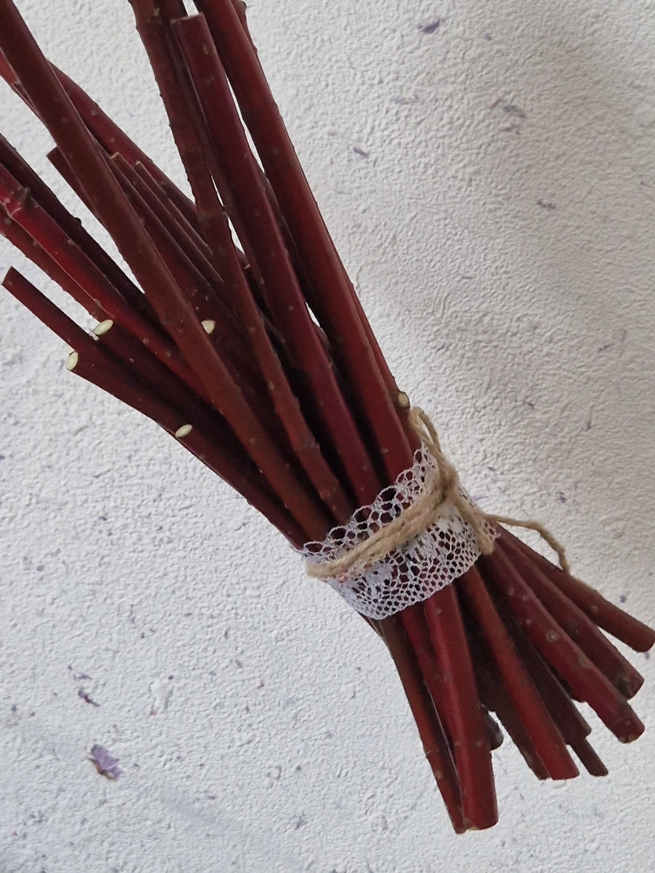 30 Natural Red Dogwood Branches Sticks Arts Crafts Supplies Photo Prof ...