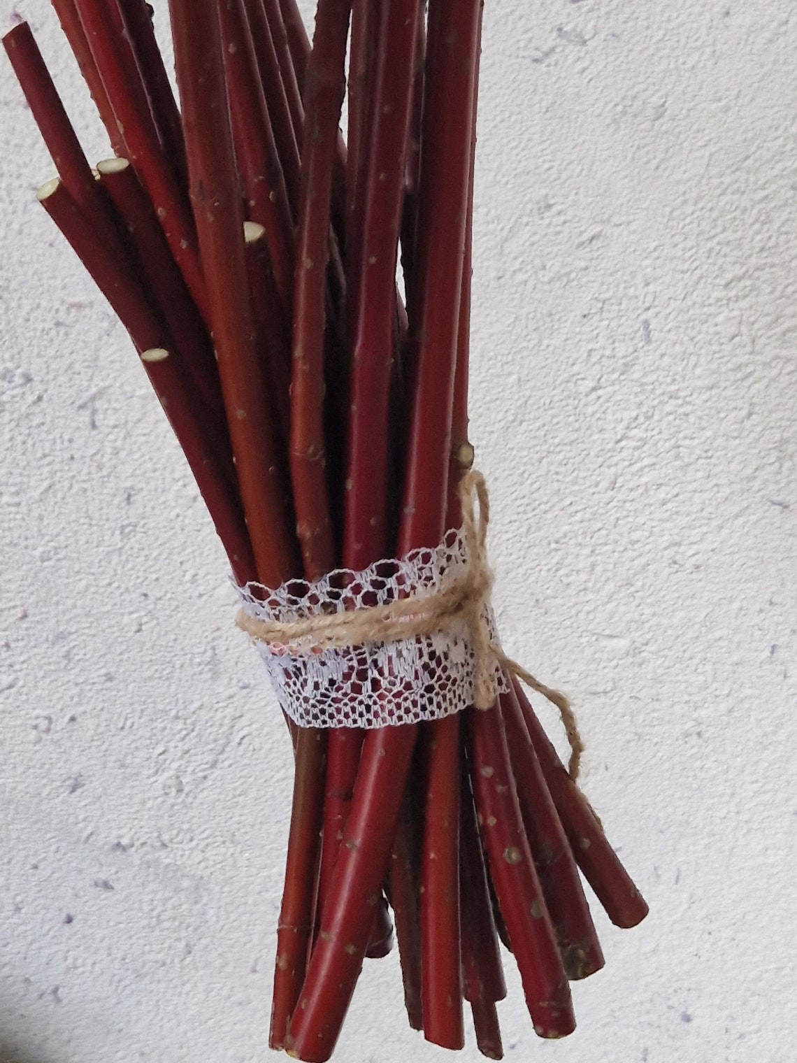 30 Natural Red Dogwood Branches Sticks Arts Crafts Supplies Photo Prof ...