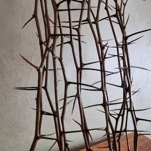 Set of 12 Sharp Branches for Craft Branches With Thorns Dried Thorny ...