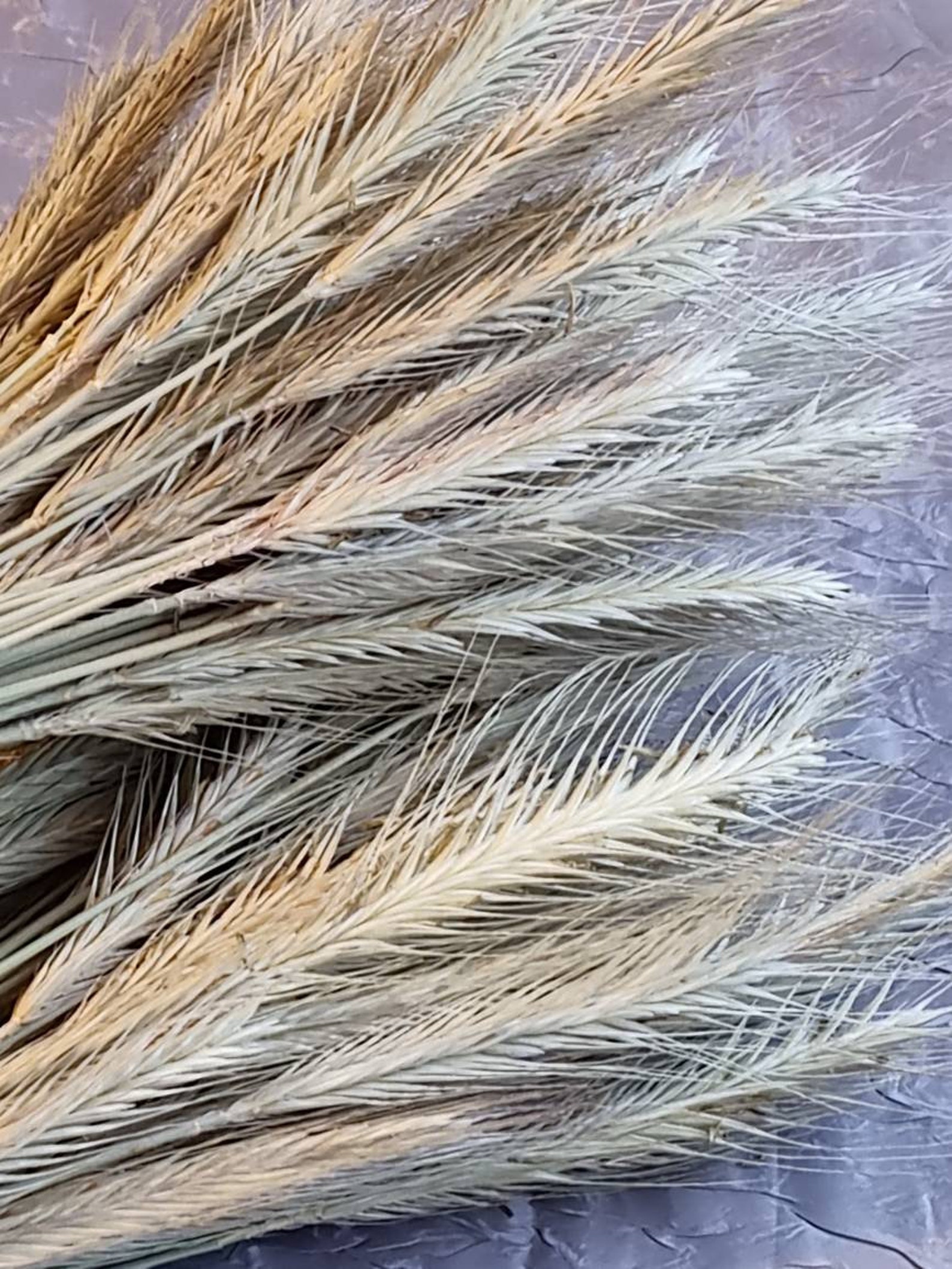 Dried Rye Bouquet Natural Wheat Cereals Dried Flowers Dried - Etsy