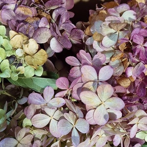 Hydrangeas Flowers Confetti in Box Dried Multicolored Flowers Wedding ...