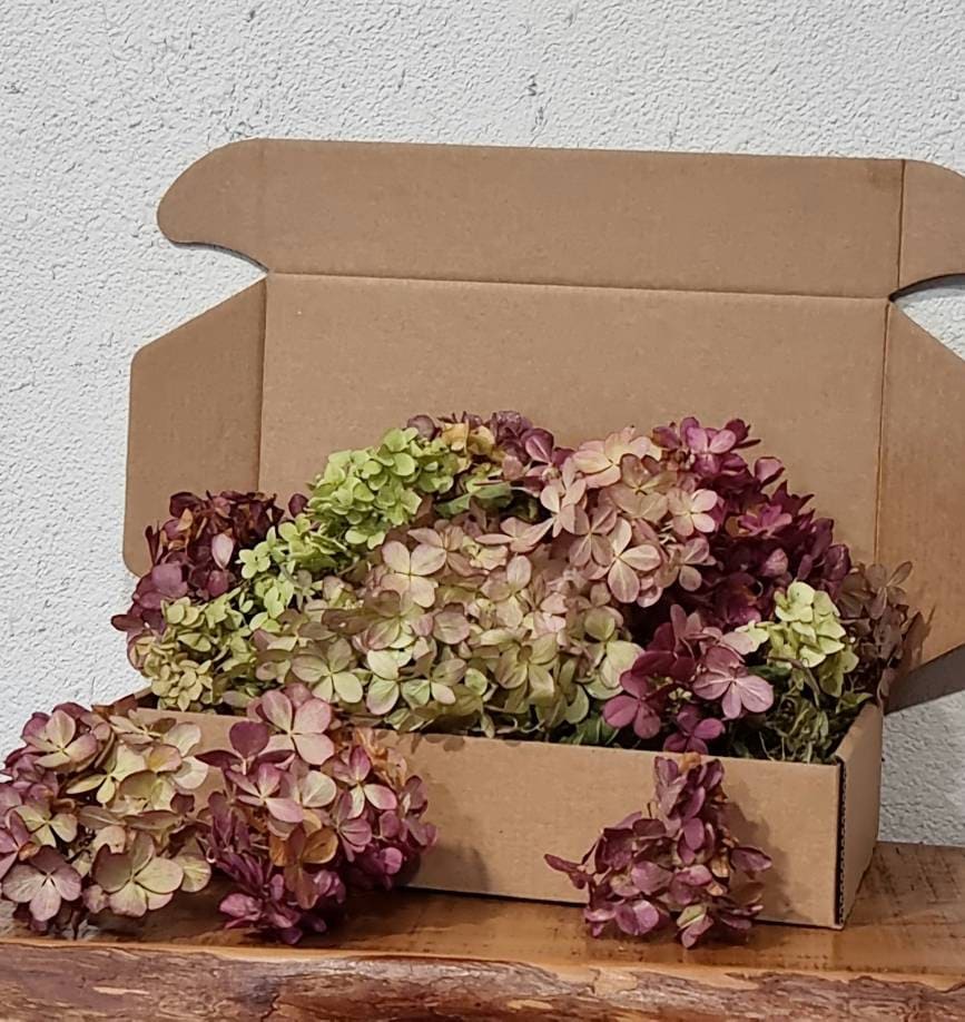 Hydrangeas Flowers Confetti in Box Dried Multicolored Flowers Wedding ...