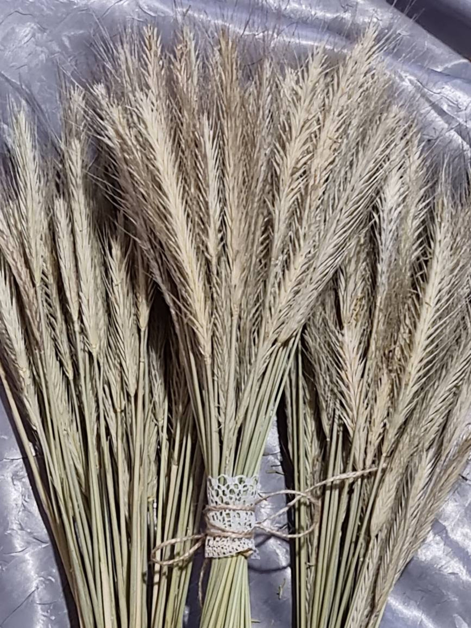 Dried Rye Bouquet Natural Wheat Cereals Dried Flowers Dried - Etsy