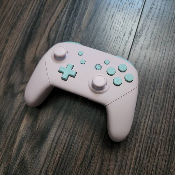 Custom Nintendo Switch Pro Controller - Etsy