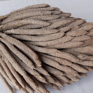 Dried Oil Palm Flower: African Incense Candles for Burning, DIY Crafts ...