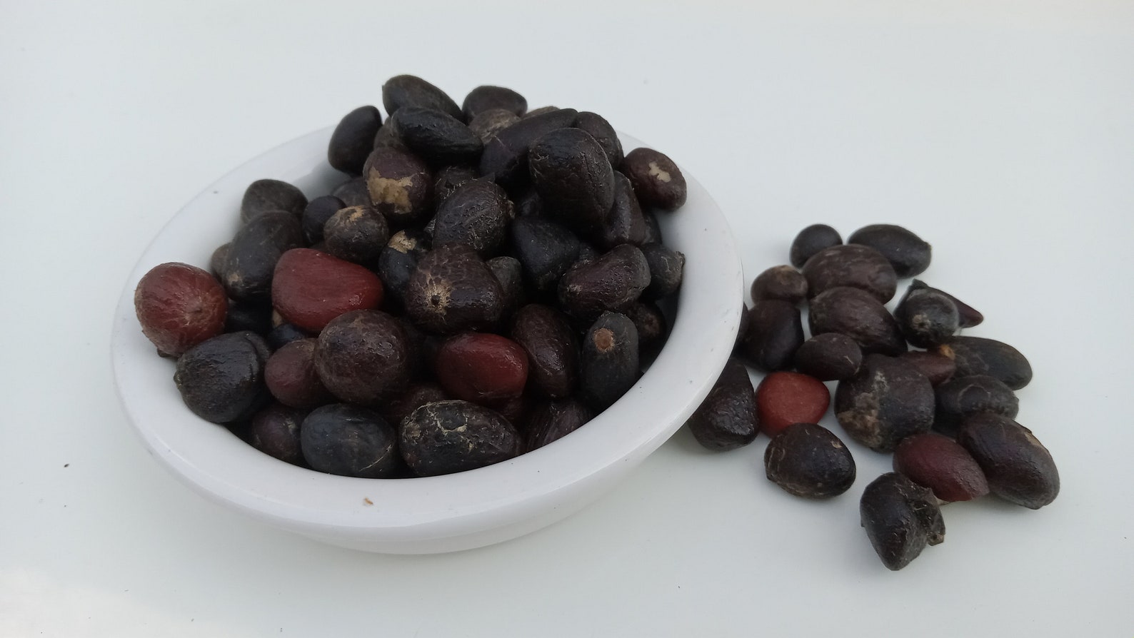 Palm Kernel Nuts, Palm Kernel Seeds, Palm Fruit Seeds, Aki West African ...