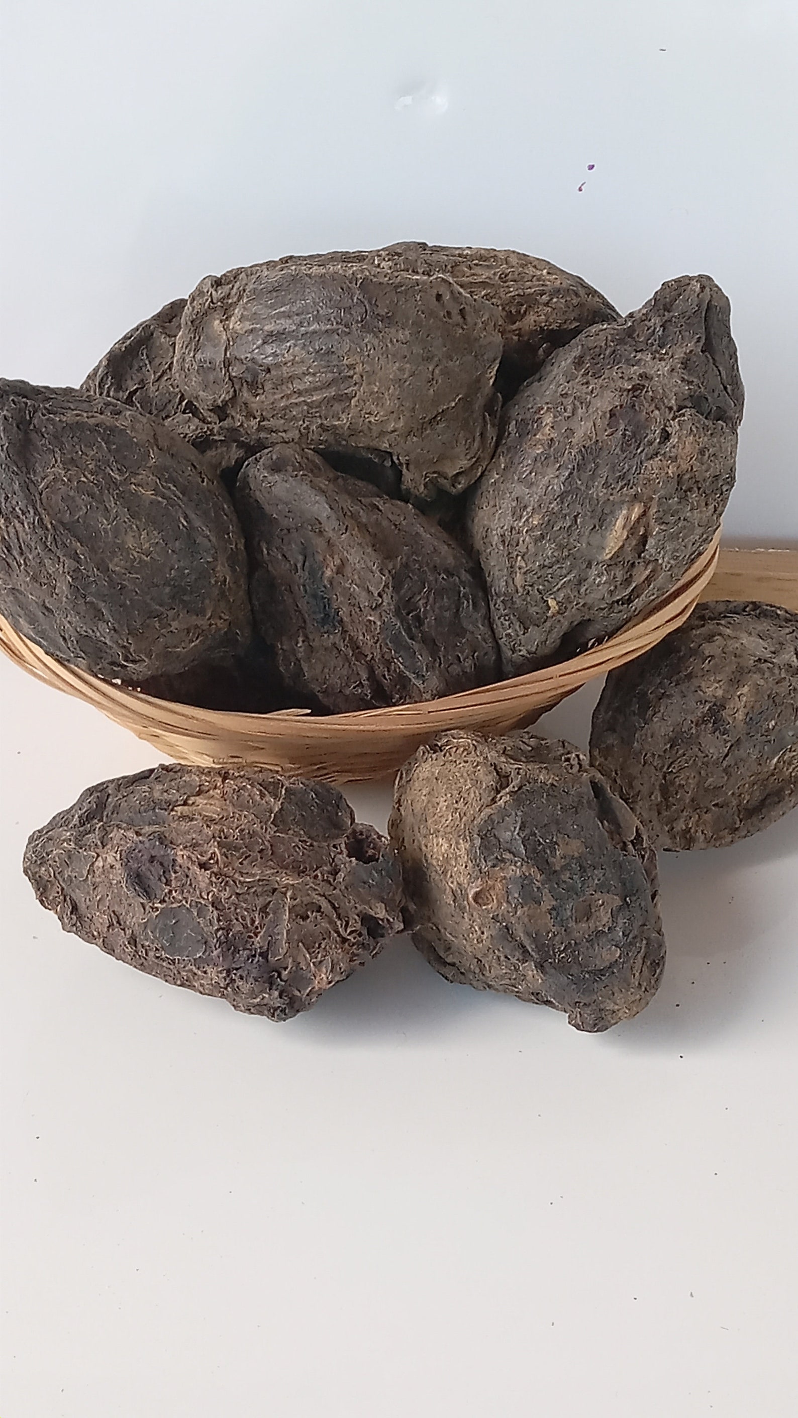 Odii Seed Pods: African Rattles & Incense - Etsy