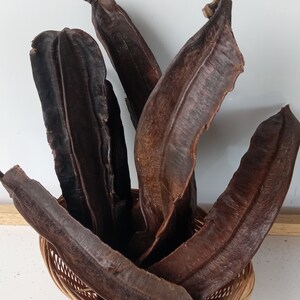 Aidan Fruit Pods,prekese Spice for Soup,tetrapleura Tetraptera, Whole ...