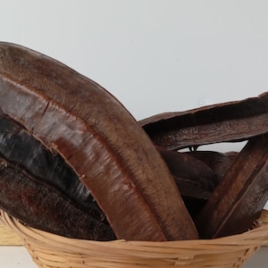 Aidan Fruit Pods,prekese Spice for Soup,tetrapleura Tetraptera, Whole ...