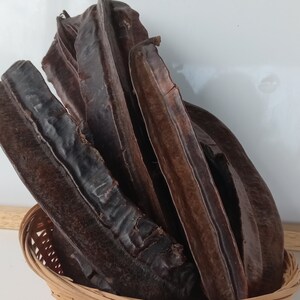 Aidan Fruit Pods,prekese Spice for Soup,tetrapleura Tetraptera, Whole ...