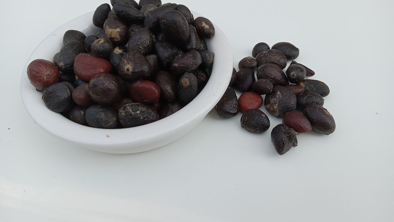 Palm Kernel Nuts, Palm Kernel Seeds, Palm Fruit Seeds, Aki West African ...