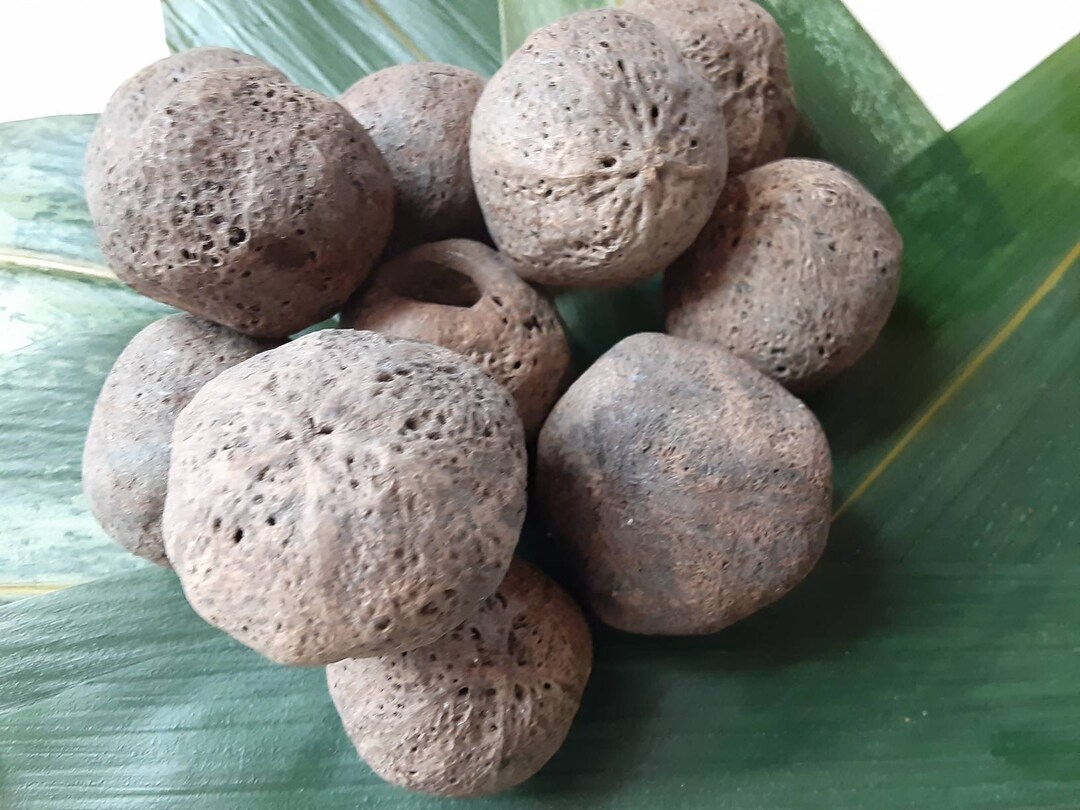 Bobe Aba Seed: West African Traditional Use - Etsy