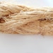 Natural Chewing Sponge,taakotsa,sawie From Ghana (100g) - Etsy