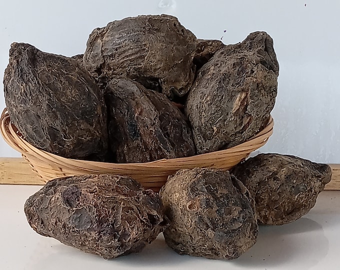 Odii Seed / Odiaba / Odiaba Seed Pods. Shake Seed Pods to Make Sounds ...