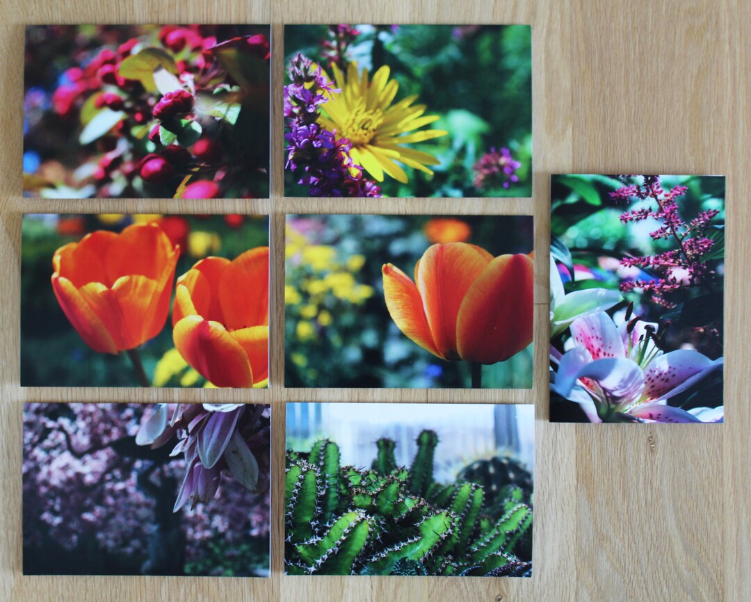 Verschiedene Blumen Grußkarten mit Umschlägen 5er Pack - Etsy Österreich