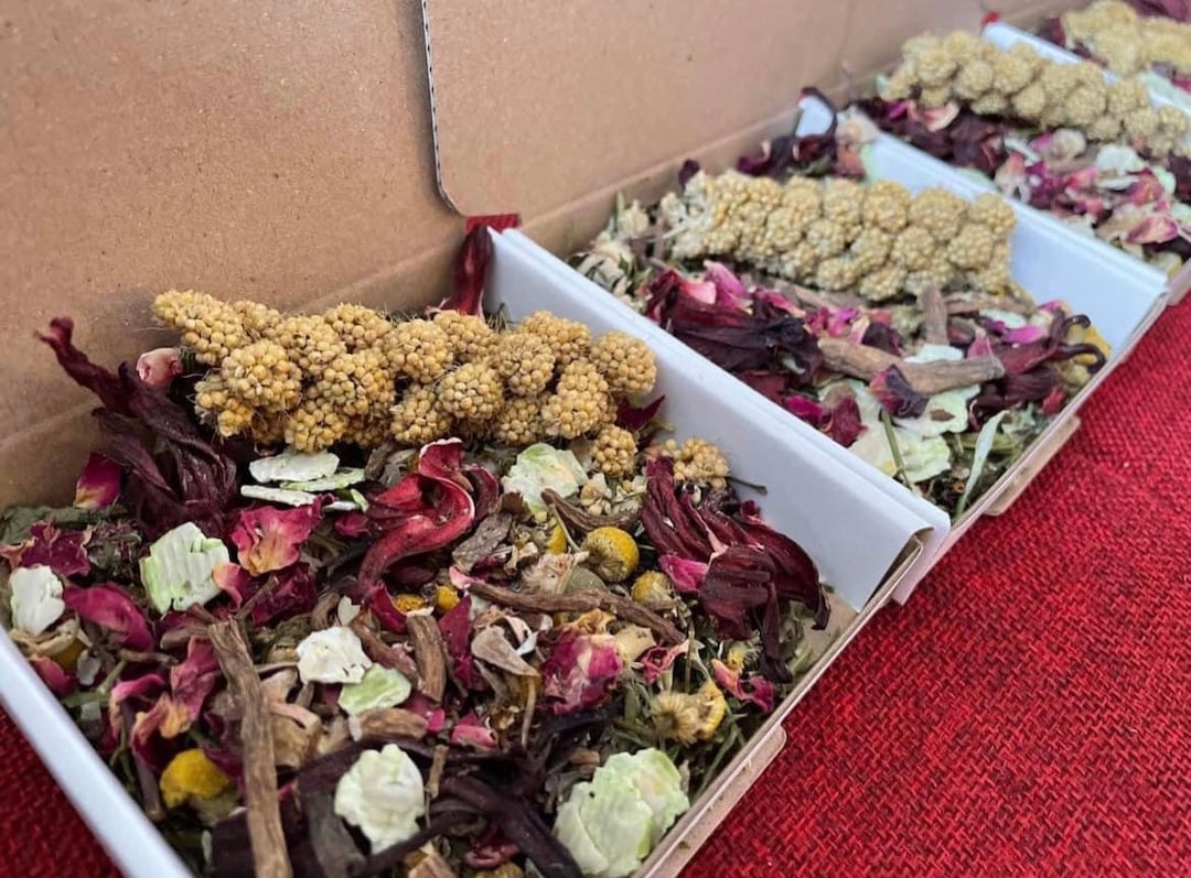 Mini Hamster Forage Box - Etsy UK