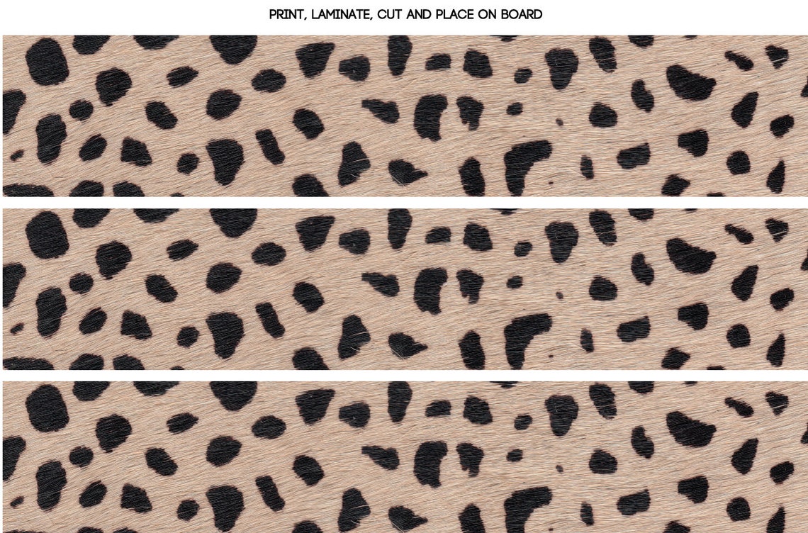 Cheetah Bulletin Board Letters, A-Z, Numbers, Classroom Decor, Cheetah ...