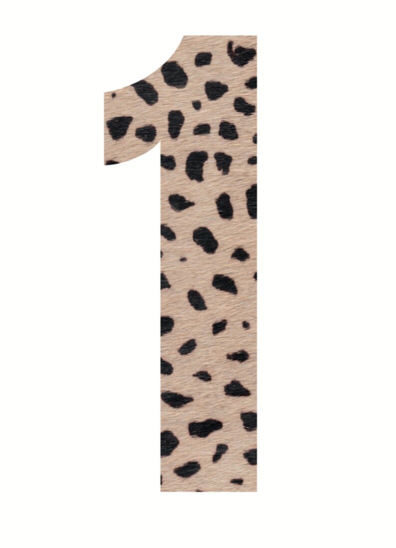 Cheetah Bulletin Board Letters, A-Z, Numbers, Classroom Decor, Cheetah ...
