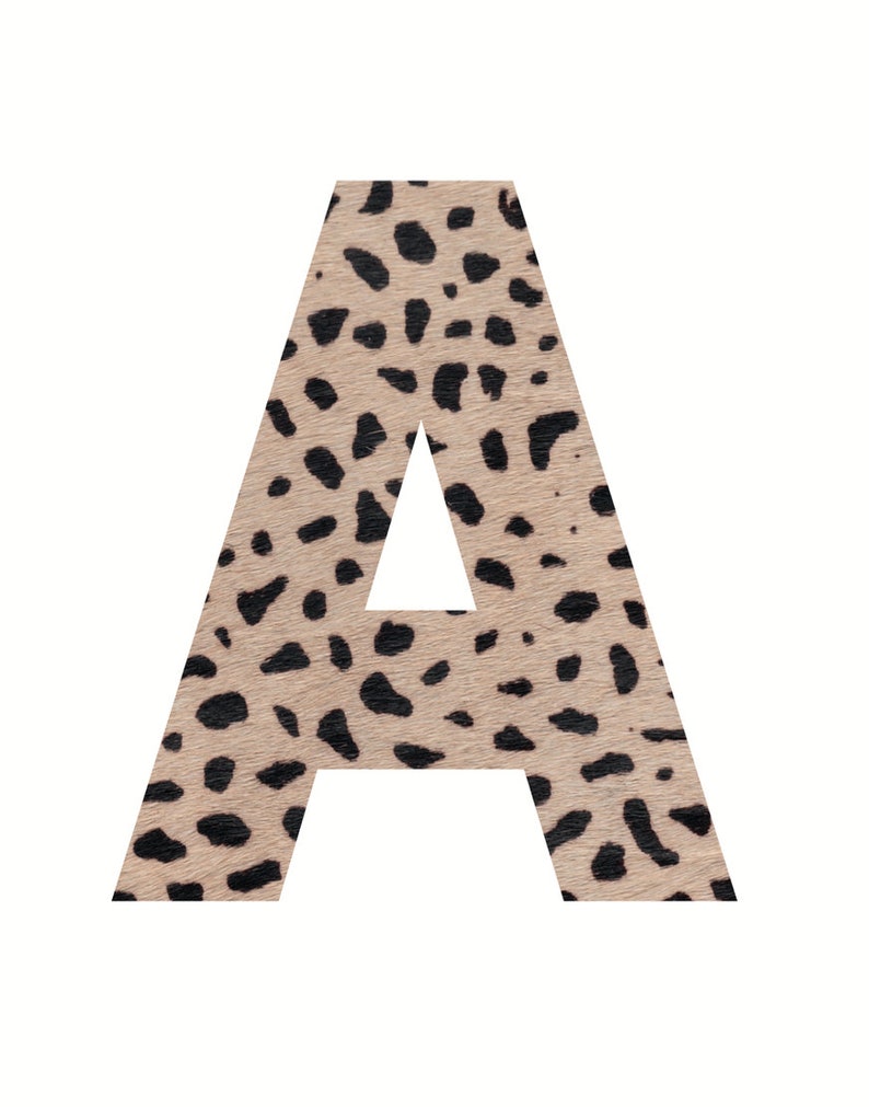 Cheetah Bulletin Board Letters, A-Z, Numbers, Classroom Decor, Cheetah ...