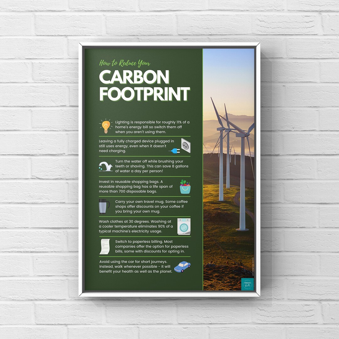 How to Reduce Your Carbon Footprint Poster | Sustainability ...