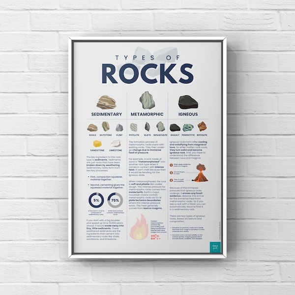 Geology Decor - Etsy