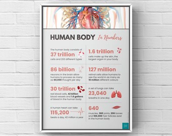 The Carbon Cycle Poster | Science Poster | Biology Poster | Wall Decor ...