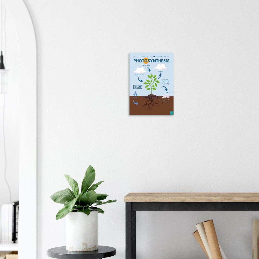 Photosynthesis Poster | Science Poster | Biology Poster | Wall Decor ...