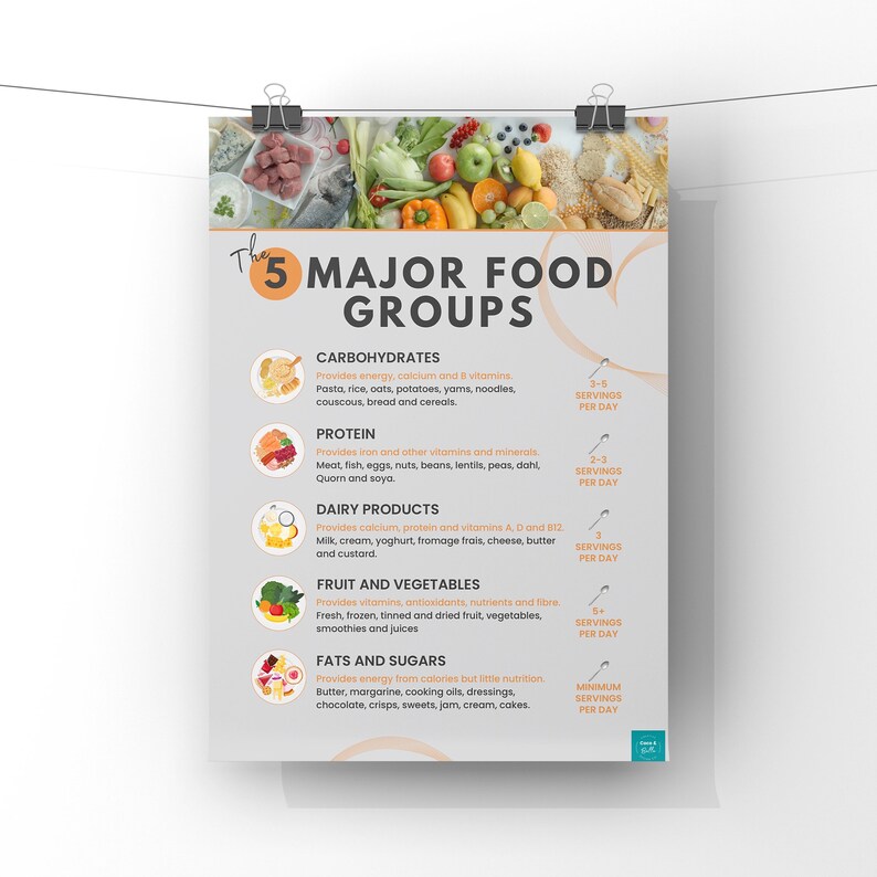 Major Food Groups Poster Food and Nutrition Healthy Eating Health ...
