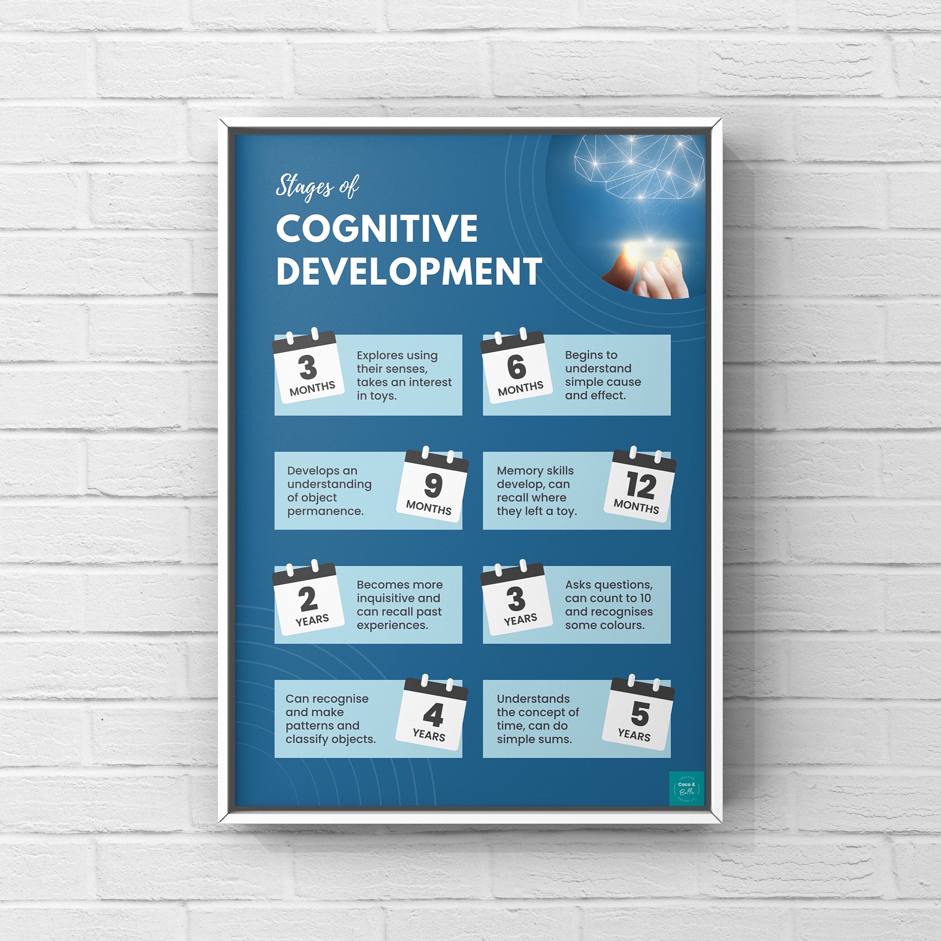 Stages of Cognitive Development Poster | Education | Child Development ...