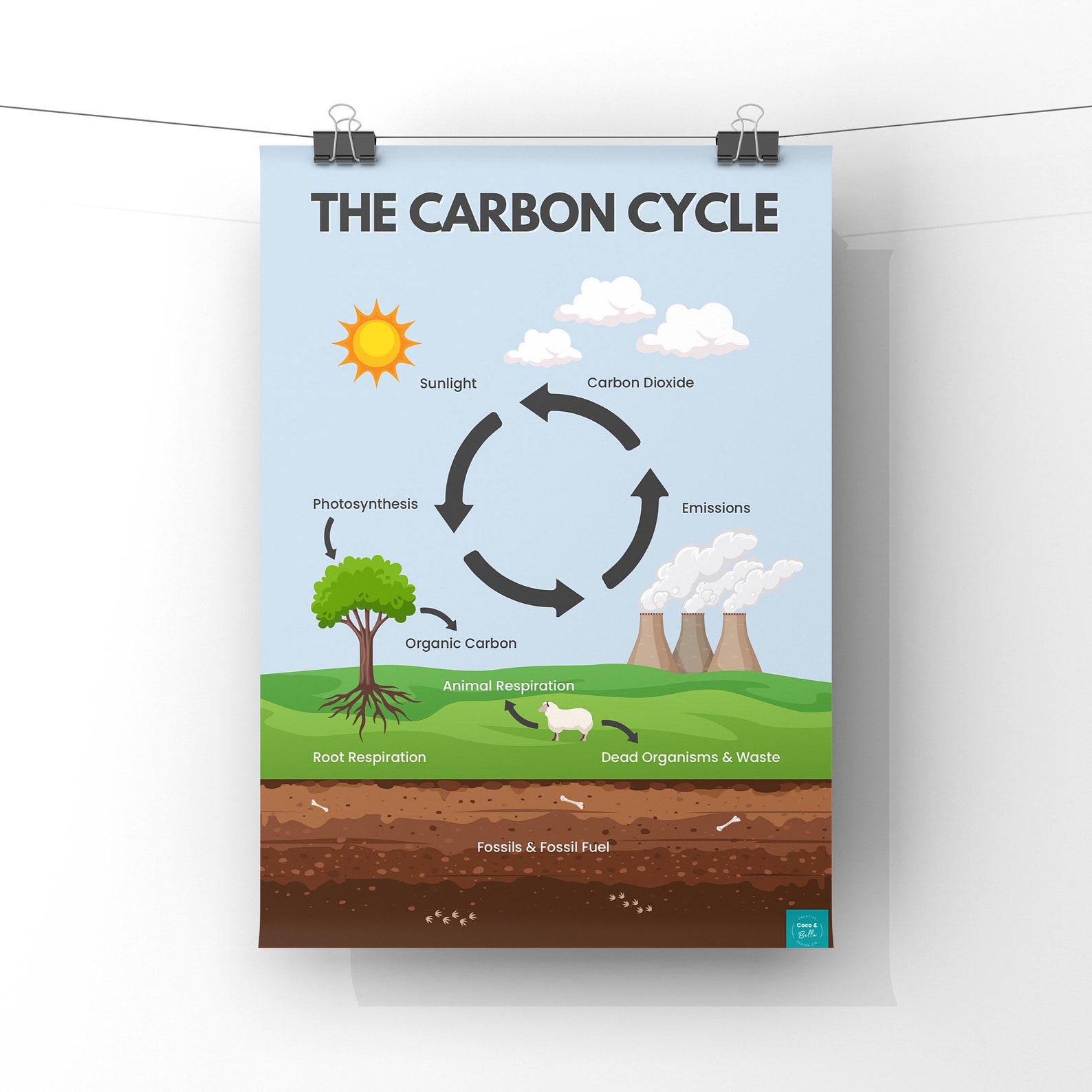 The Carbon Cycle Poster | Science Poster | Biology Poster | Wall Decor ...