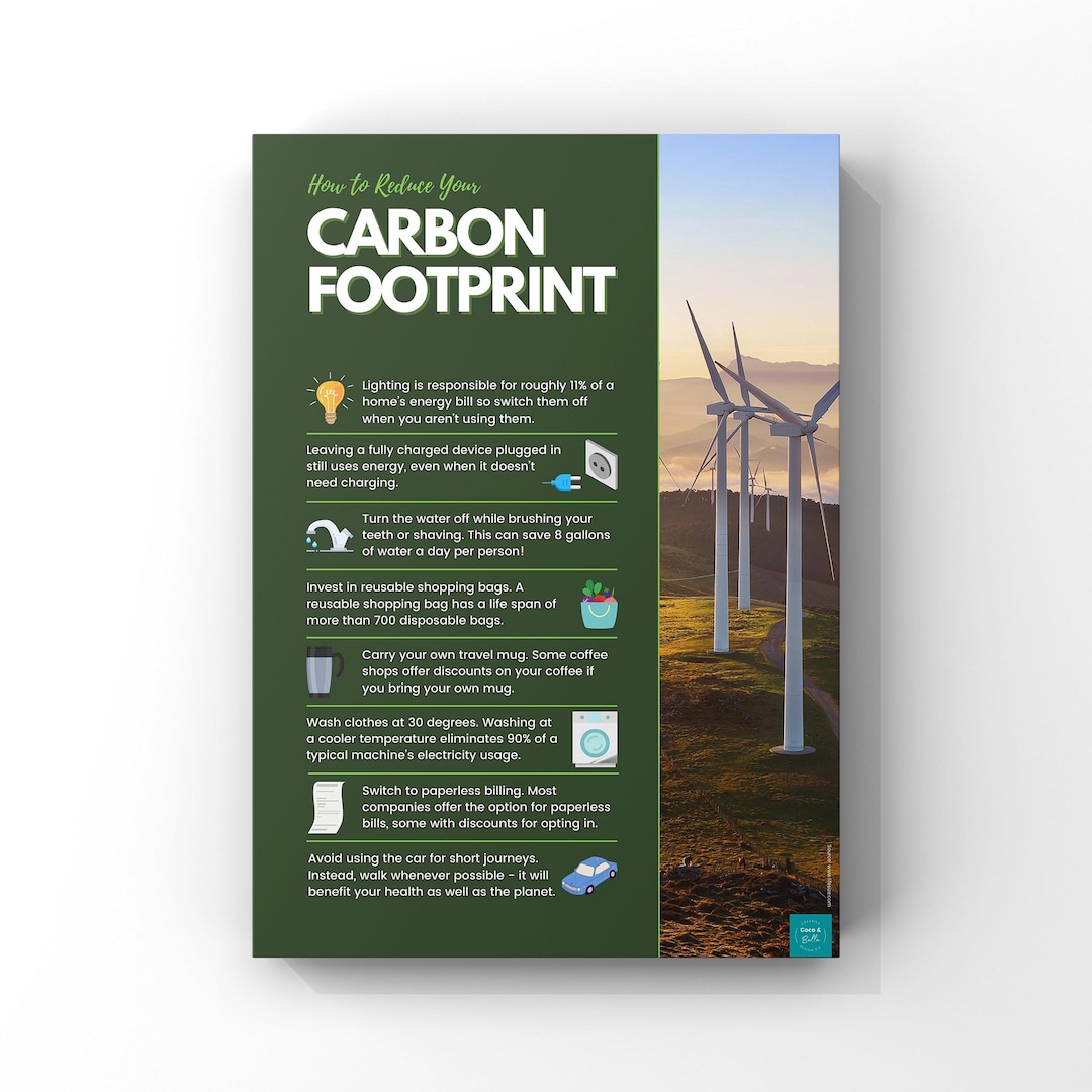 How to Reduce Your Carbon Footprint Poster | Sustainability ...