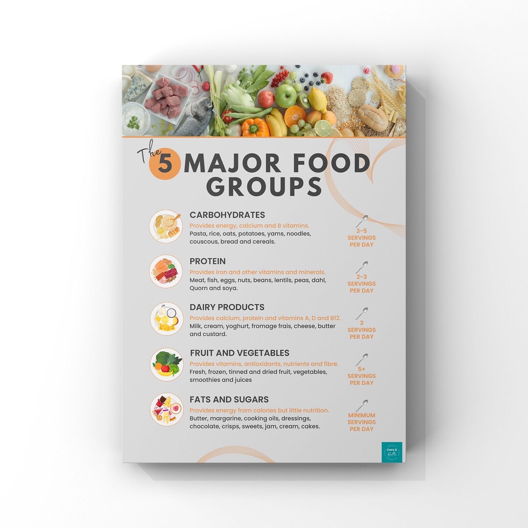 Major Food Groups Poster | Food and Nutrition | Healthy Eating | Health ...