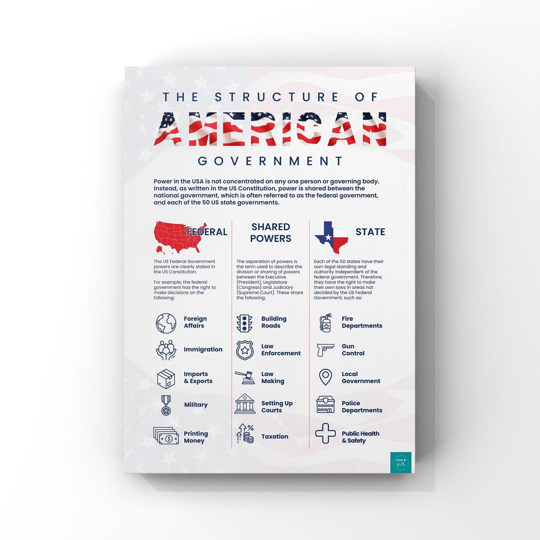 American Government Poster | Politics Poster | USA Politics | Wall ...