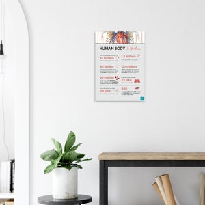Human Body Infographic Poster Science Poster Biology Poster Wall Decor ...