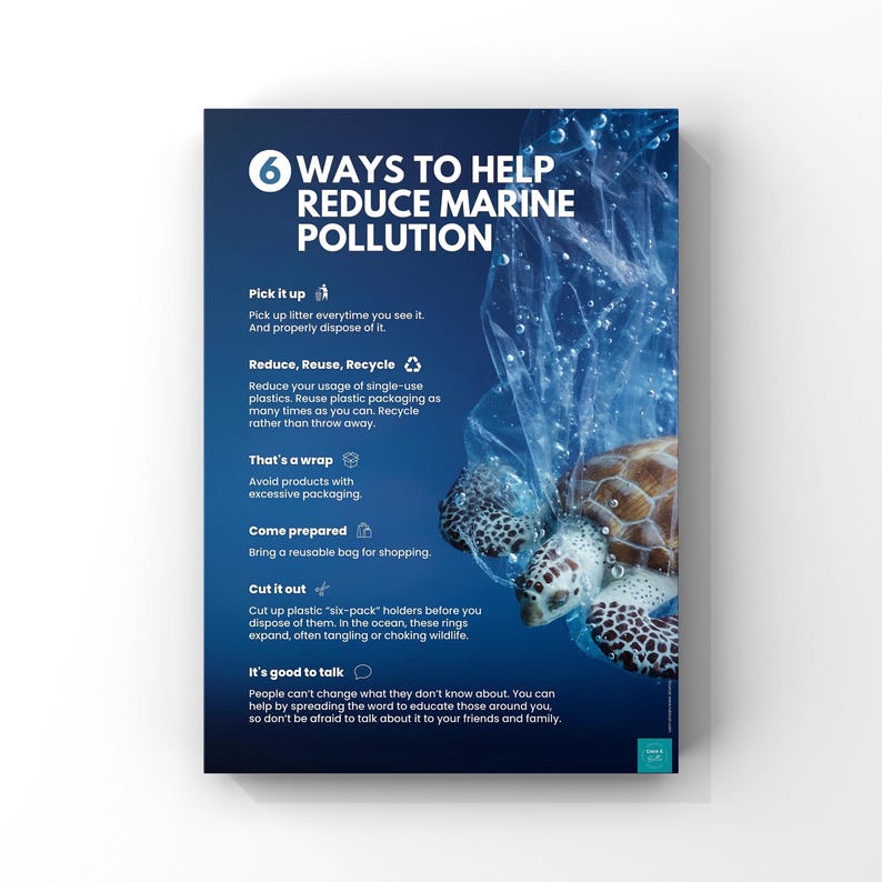 How to Reduce Marine Pollution Poster | Ocean Sustainability ...