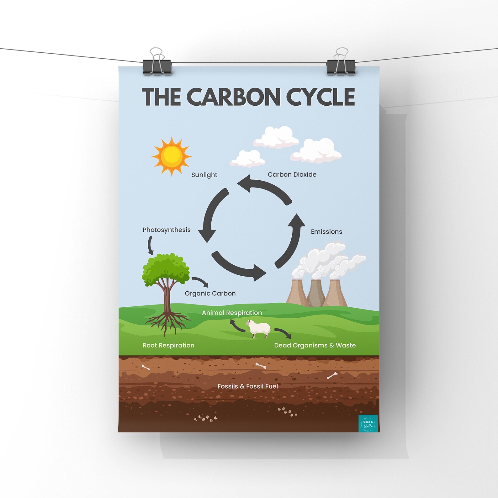 The Carbon Cycles Poster | Wissenschaft Poster | Biologie Poster ...