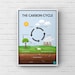 The Carbon Cycle Poster | Science Poster | Biology Poster | Wall Decor ...