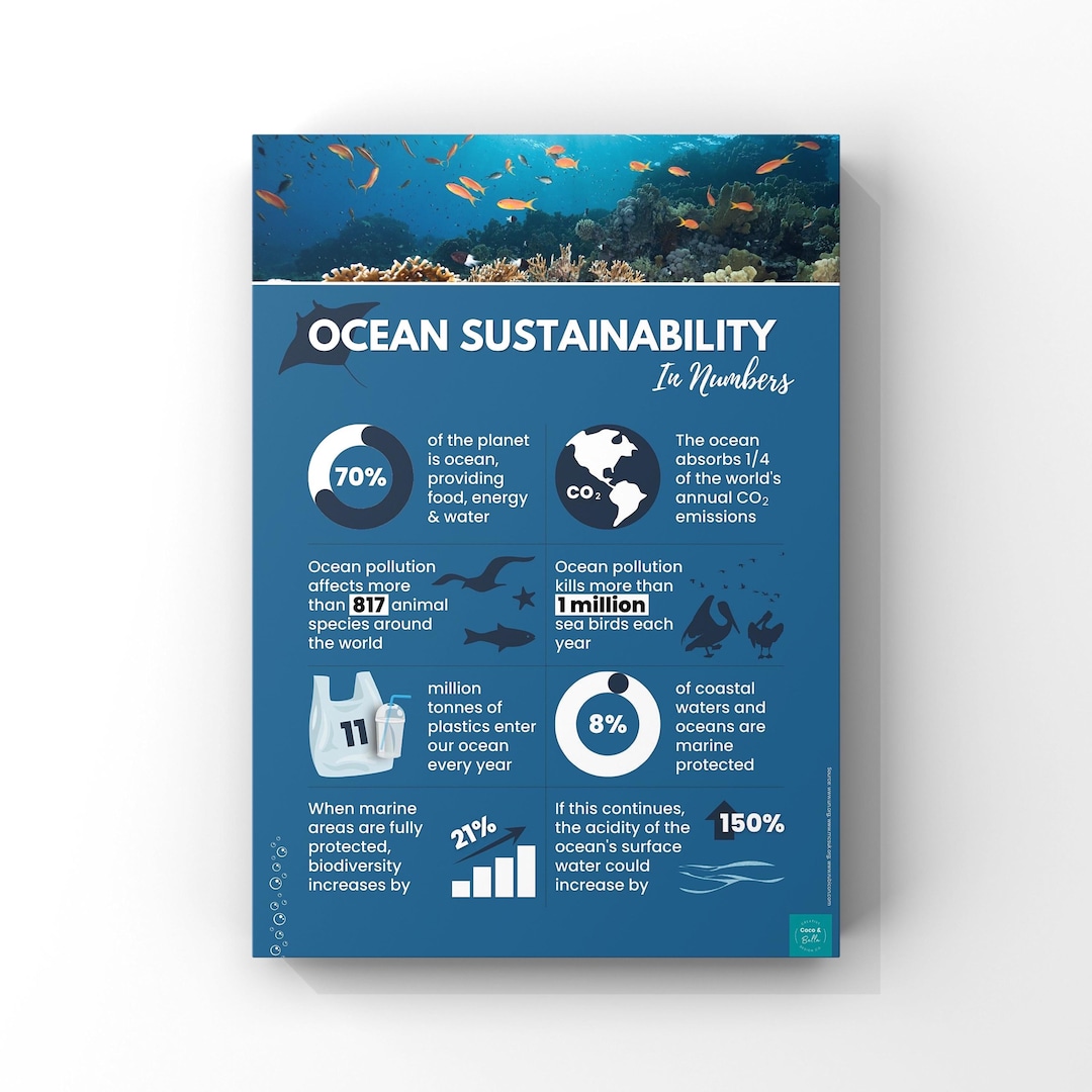 Ocean Sustainability Infographic Poster | Sustainability ...