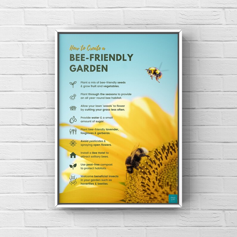 How to Create a Bee-friendly Garden Poster Sustainability - Etsy