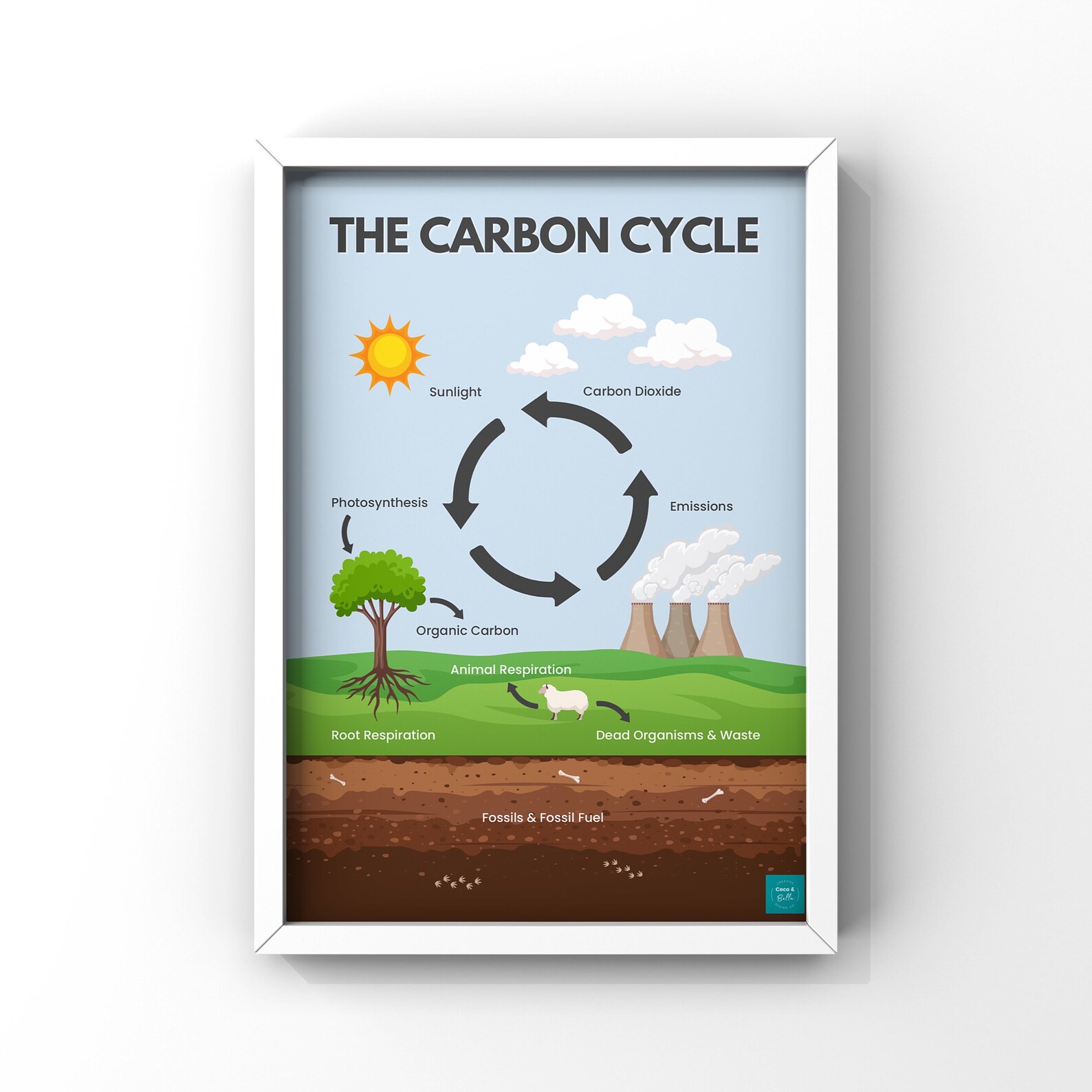 The Carbon Cycle Poster | Science Poster | Biology Poster | Wall Decor ...