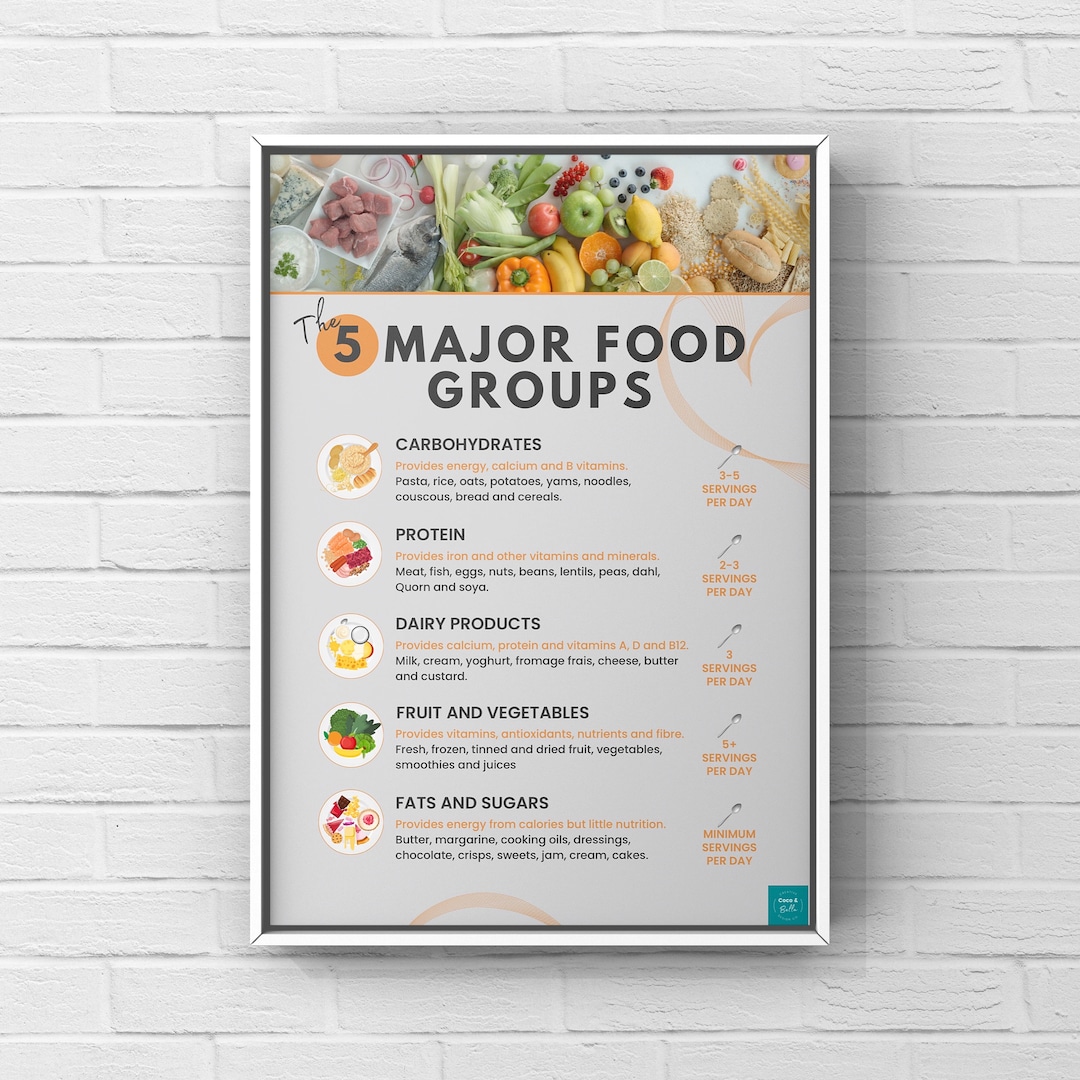 Major Food Groups Poster | Food and Nutrition | Healthy Eating | Health ...