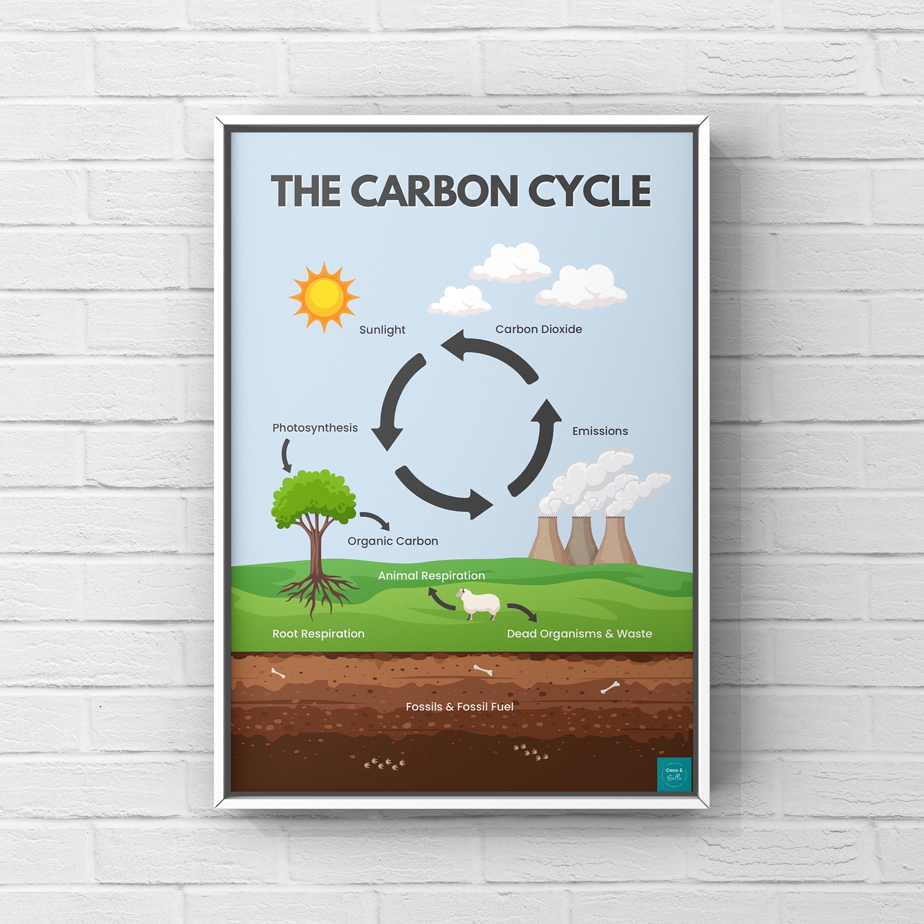 The Carbon Cycles Poster | Wissenschaft Poster | Biologie Poster ...