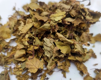 Birch Leaf Betula Pendula Dried Herb Herbal Tea 100% Natural Brzoza ...