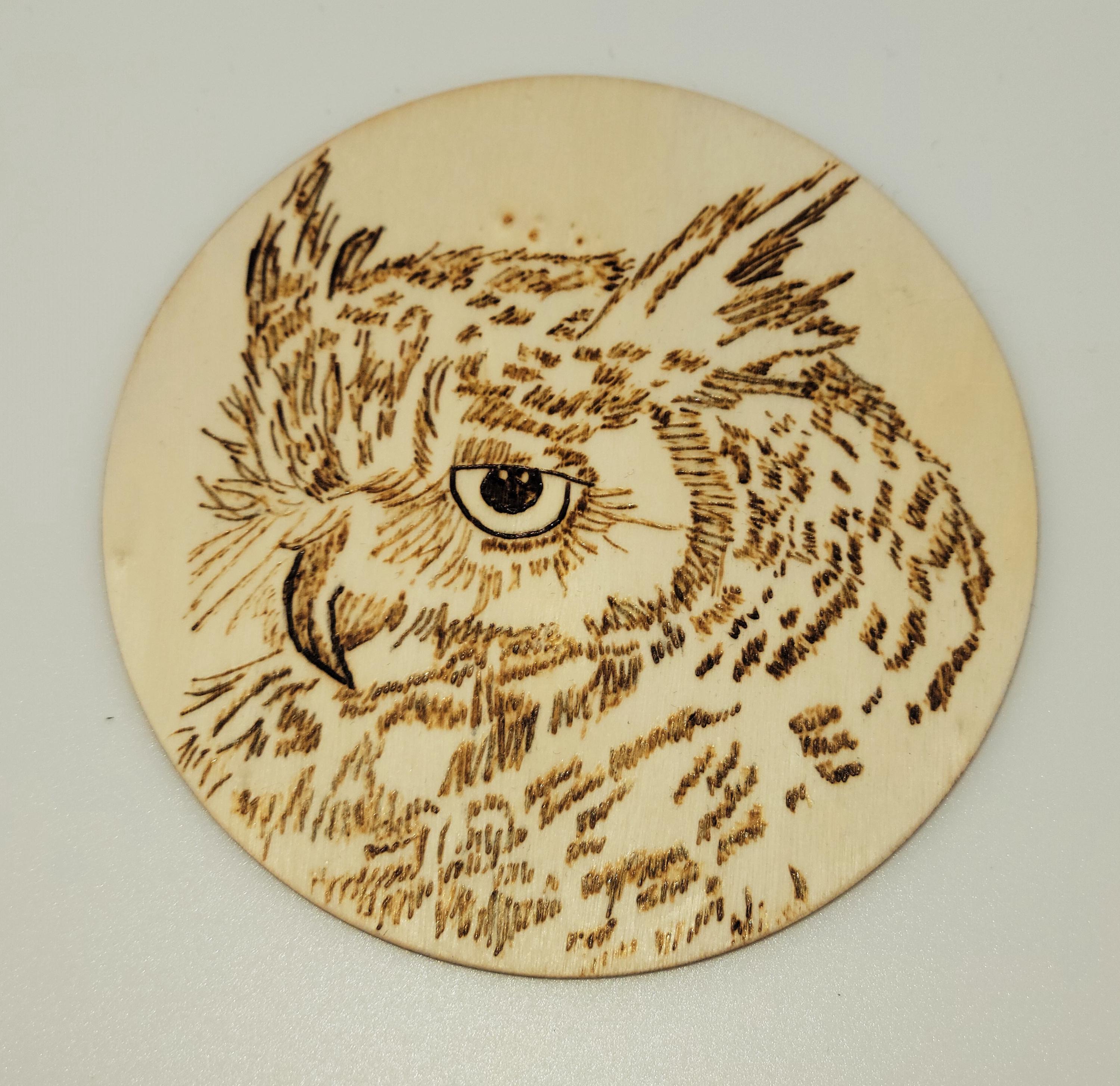 Owl Coaster/ Ornaments, Hand Done Wood Burning, Pyrography - Etsy