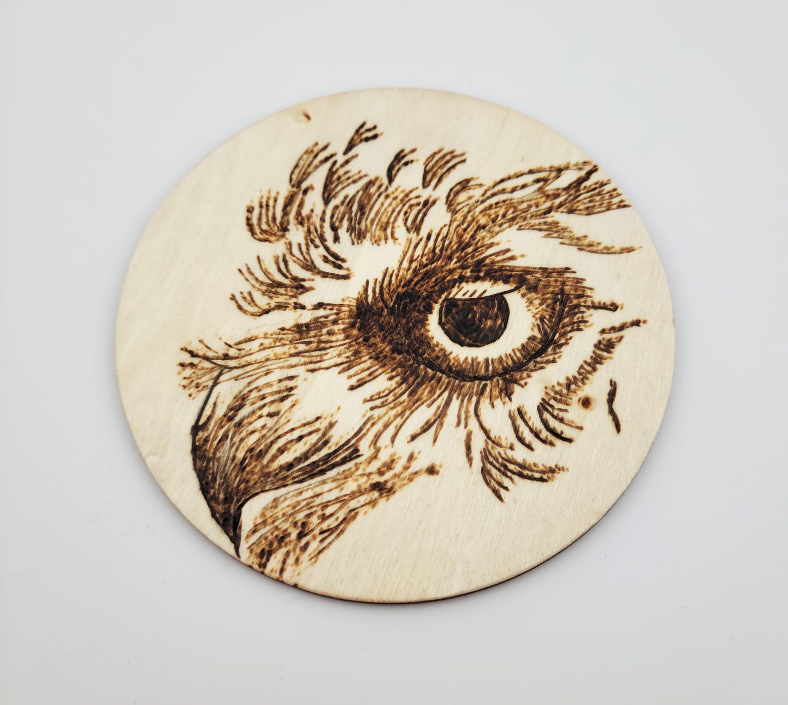 Owl Coaster/ Ornaments, Hand Done Wood Burning, Pyrography - Etsy