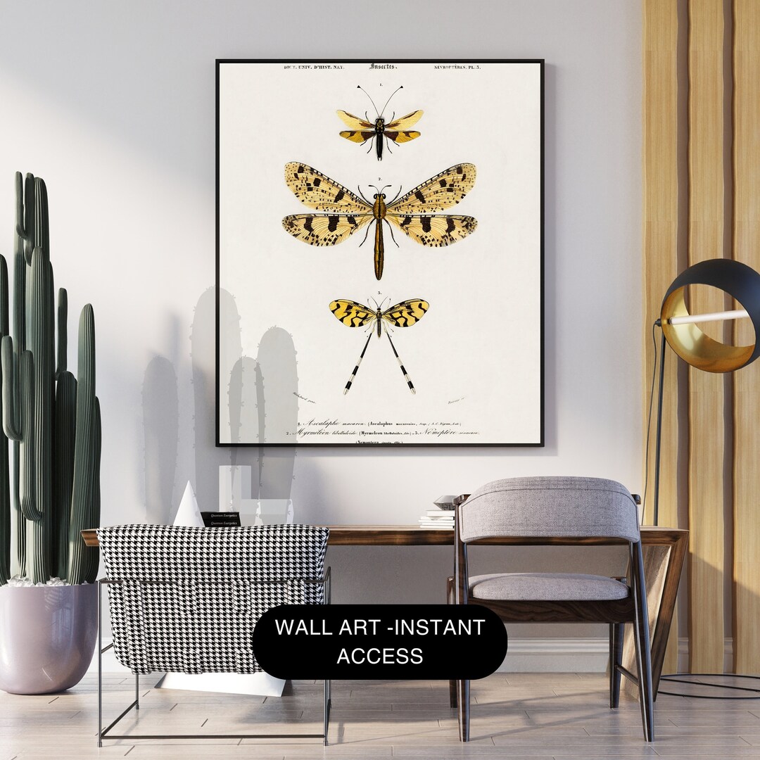 Insect Print Comes as Downloadable Files, Insect Wallart, Vintage ...