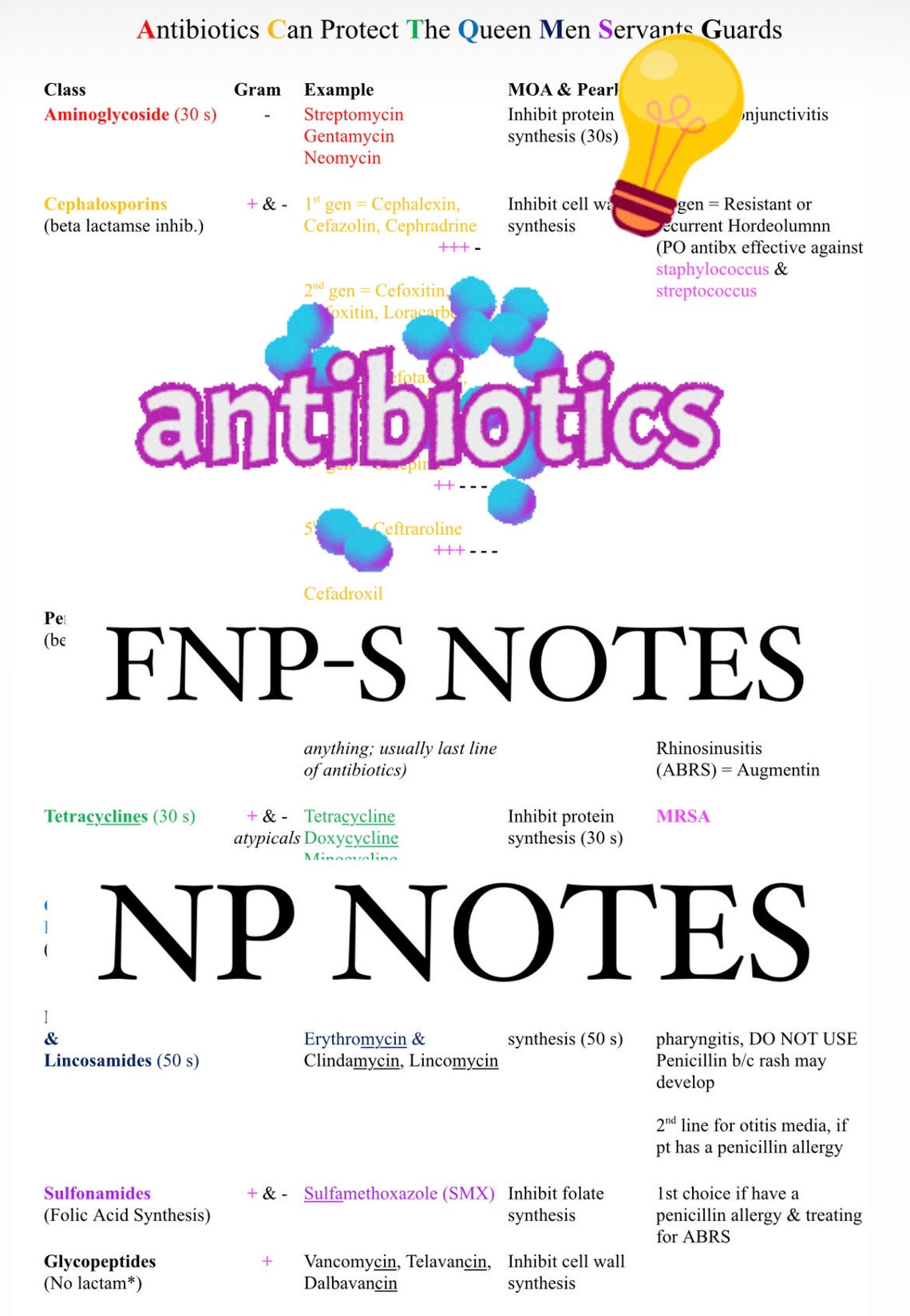NP Student Antibiotic Visual Guide Chart | Etsy