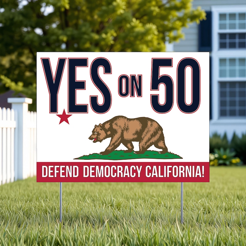 Yes on Prop 50 - Etsy