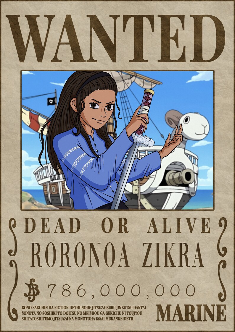 Printed Custom One Piece Wanted Poster, Anime Gift - Etsy